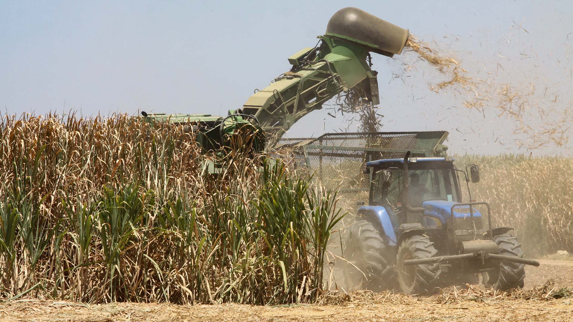 Biofuels - OurFuture.Energy